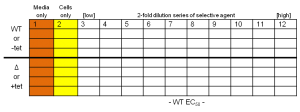 EC50 analysis - Alsford Lab