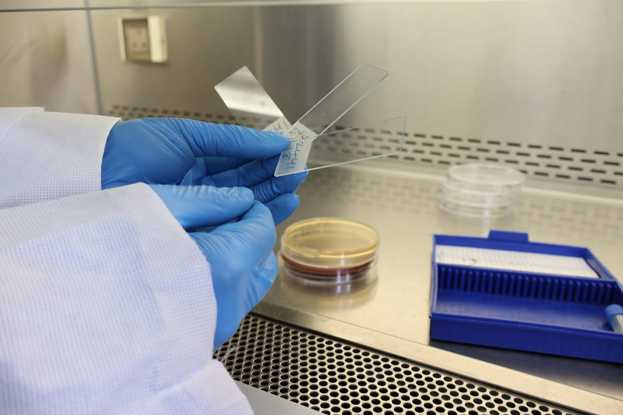 Latest grants received by ICEH announced - ICEH