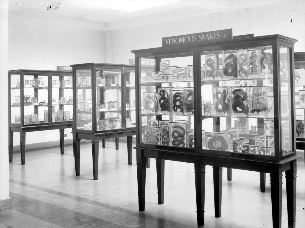15 Years of the Archive Service - Looking back at the museum - Library ...